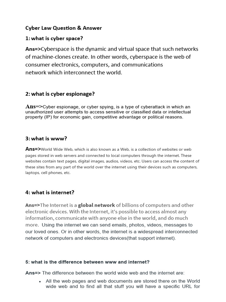 Cyber Law Question &answer | PDF | Cybercrime | World Wide Web