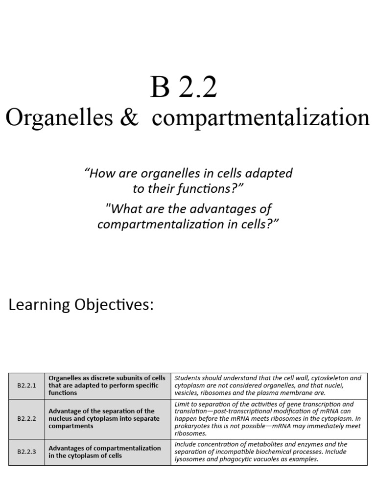 B 2.2 SL Organelles and Compartmentalization | PDF | Cell (Biology ...