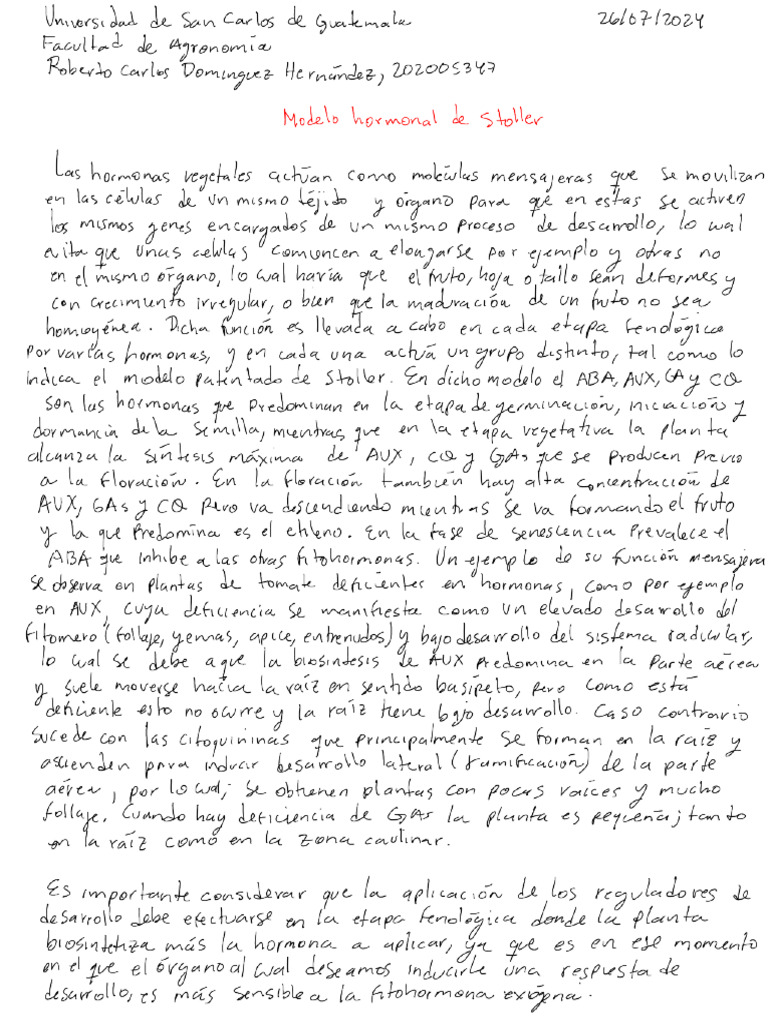 Modelo Stoller Roberto Dominguez 202005347 | PDF