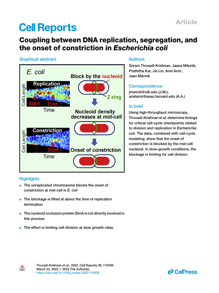 Coupling Between DNA Replication Segregation and The Onset of 2022 Cell ...