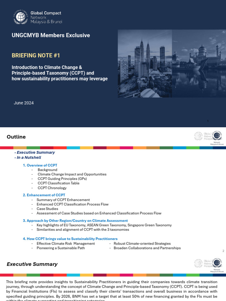 Ungcmyb - CCPT Briefing Note #1 | PDF | Climate Change | Sustainability