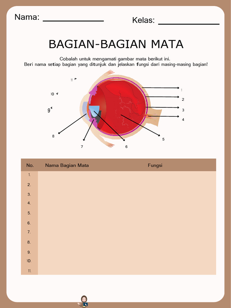 LKPD Bagian Mata & Fungsinya | PDF | Komputer
