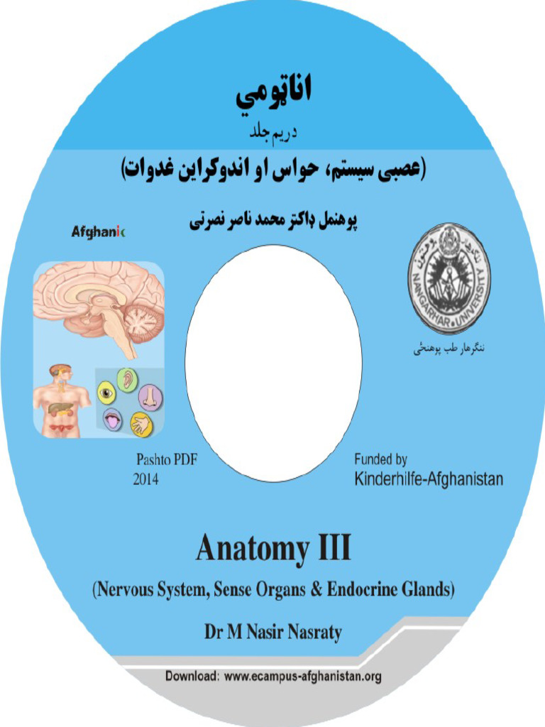 Anatomy 3 Nervous System | PDF | Spinal Cord | Cerebrum