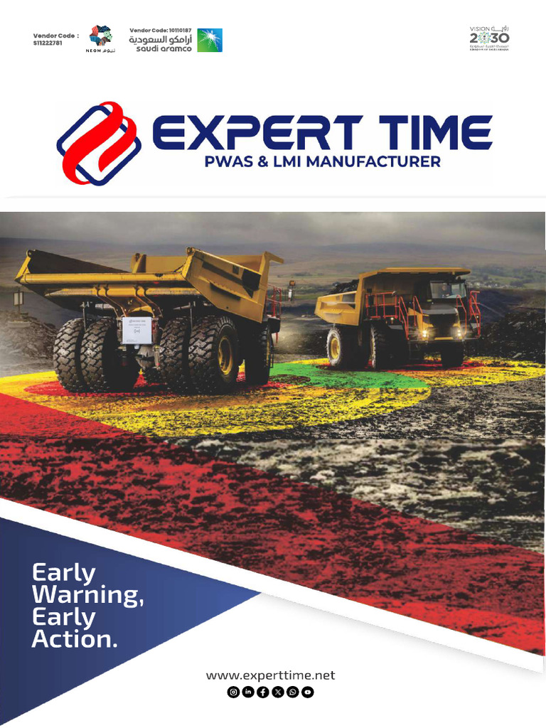 Expert Time PWAS - Profile | PDF