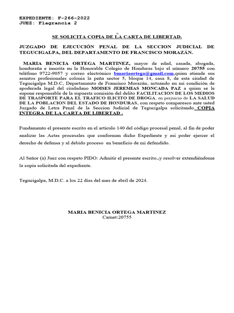 solicitud copia de expediente | PDF | Honduras | Debido al proceso