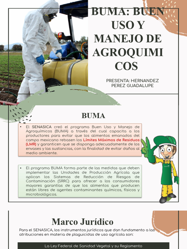 BUMA: Buen Uso de Agroquímicos | PDF | Pesticida | Agricultura
