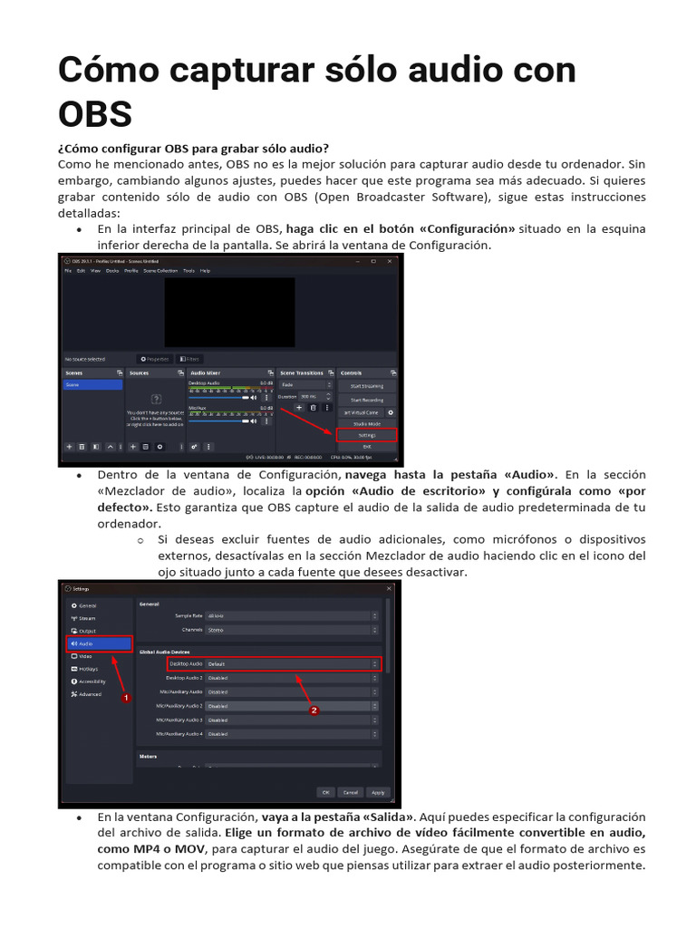 Grabar Solo Audio con OBS: Guía Rápida | PDF | Banda de garage | Podcast