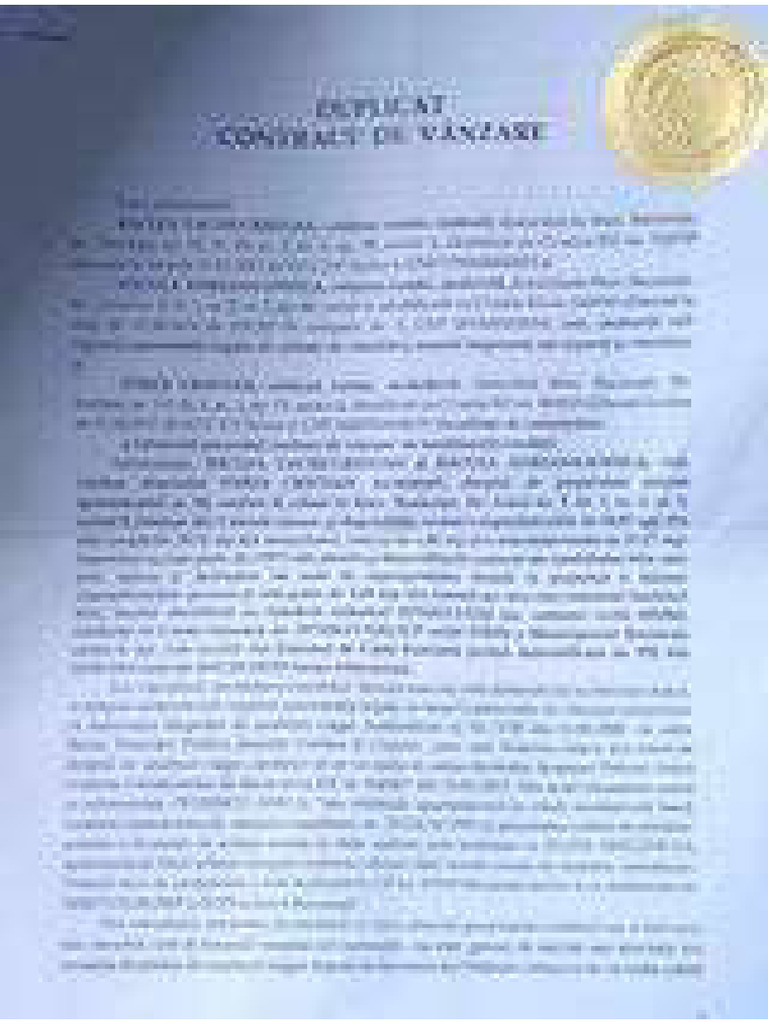 Contract Luica | PDF