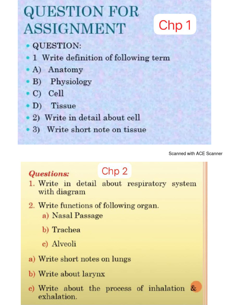 Anatomy Questions | PDF