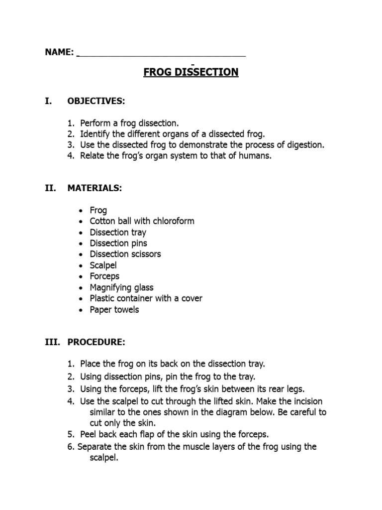 Frog Dissection | PDF | Gastrointestinal Tract | Frog