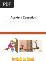 Loss Causation Model | PDF | Substance Abuse | Health Sciences