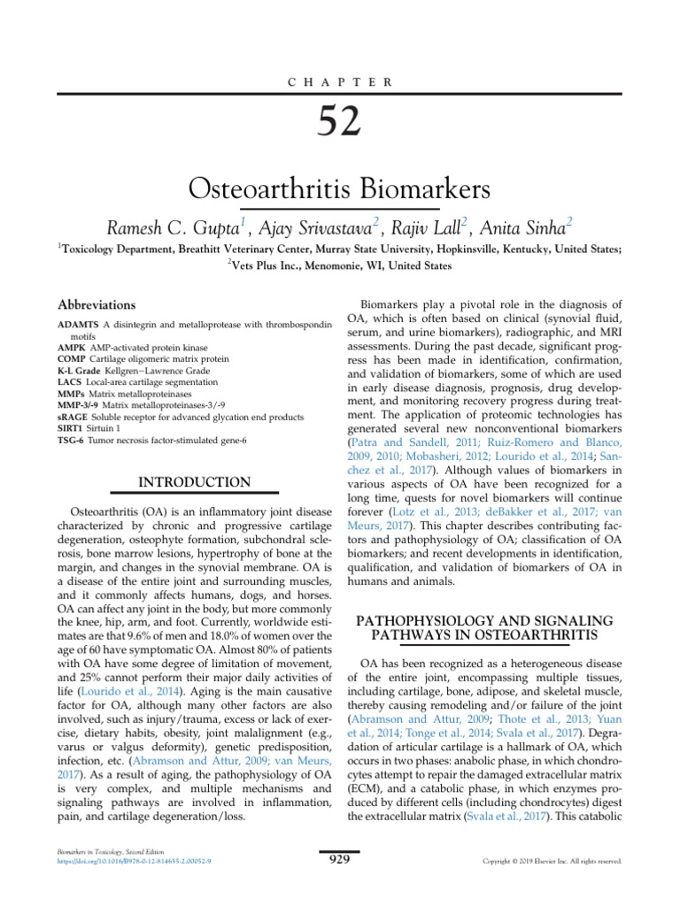 Gupta - Osteoarthritis Biomarkers | PDF | Extracellular Matrix | Extracellular Signal Regulated ...