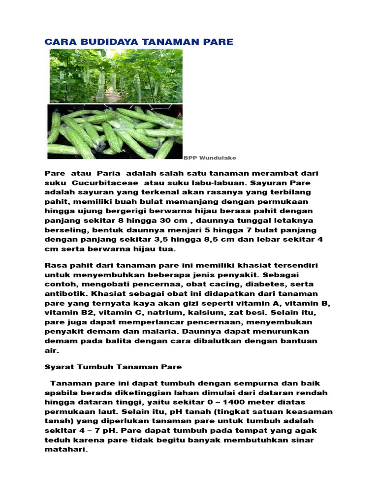 Cara Budidaya Tanaman Pare | PDF | Griya & Taman | Sains & Matematika