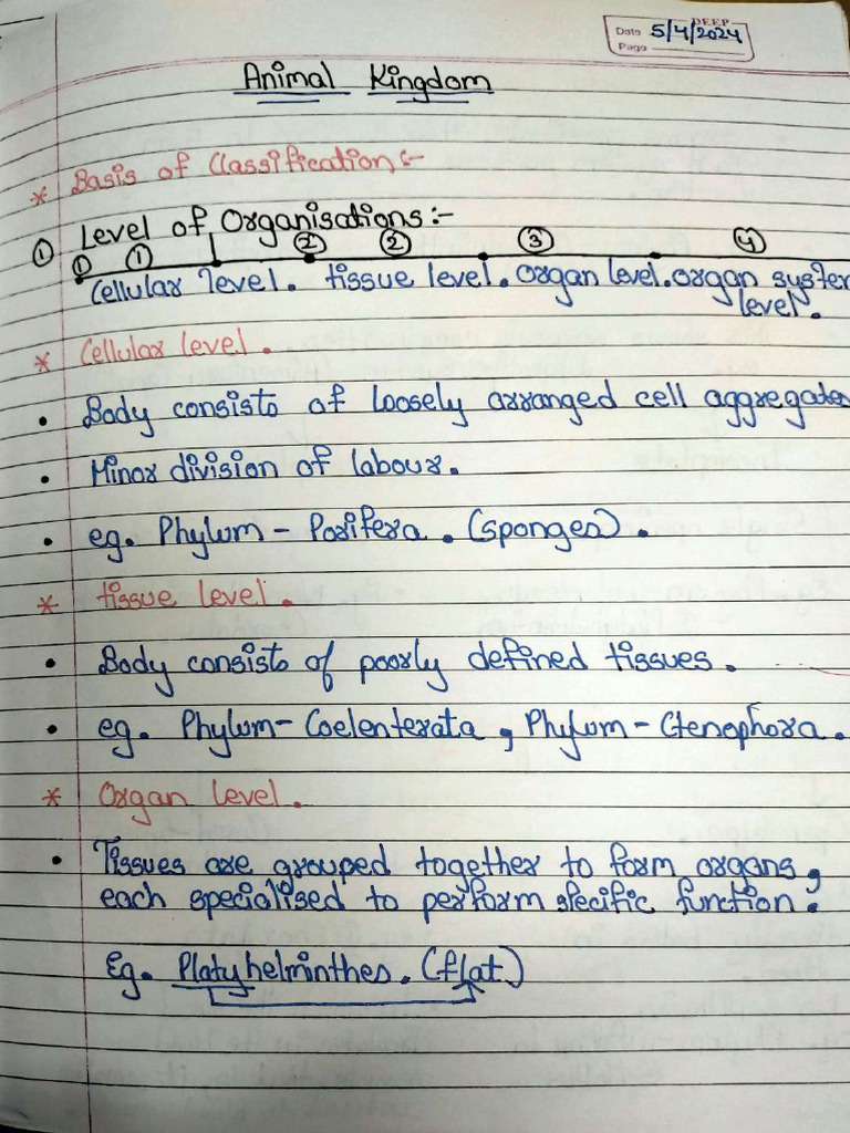 Zoology Compressed | PDF