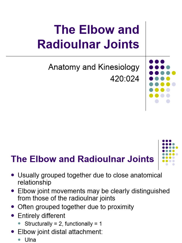 Elbow Radio-Ulnar Joints - Notes | PDF | Anatomical Terms Of Motion | Elbow