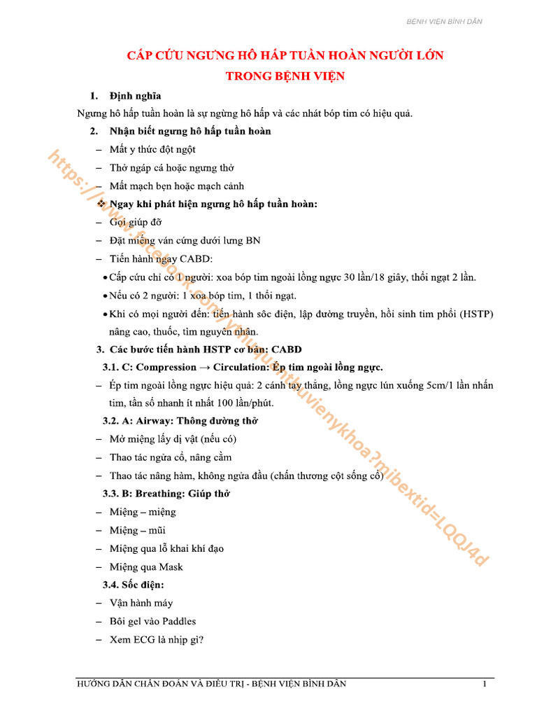 Cáº P Cá U Ngæ Ng Hã Háº P Tuáº N Hoã N Ngæ á I Lá N Trong Bá Nh Viá N