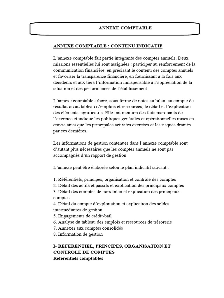 Annexe Comptable | PDF | Comptabilité | Comptes annuels