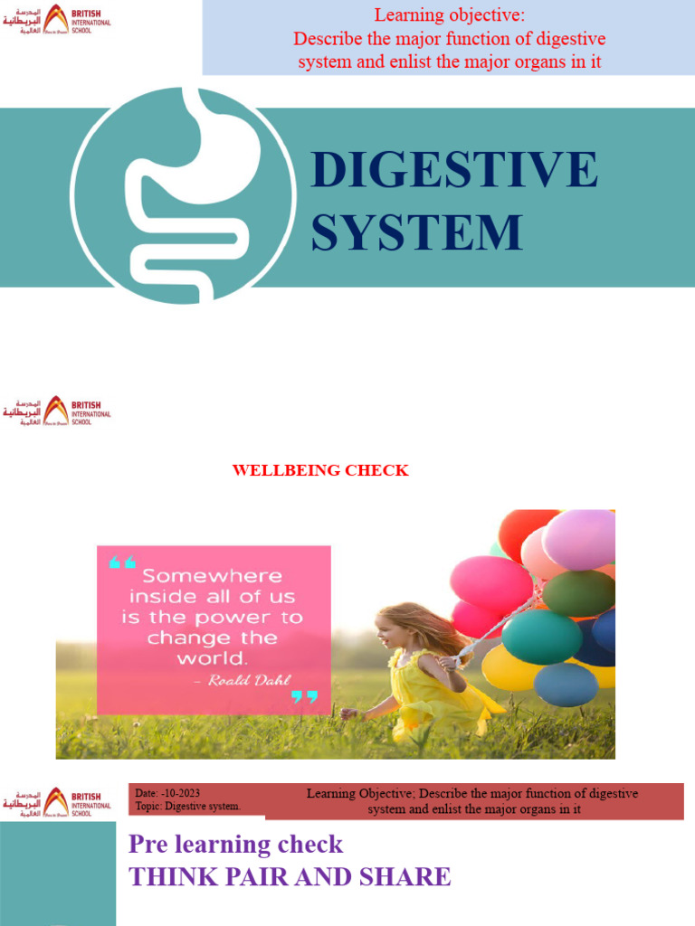 Lesson 1-Digestive system | PDF | Digestion | Gastrointestinal Tract