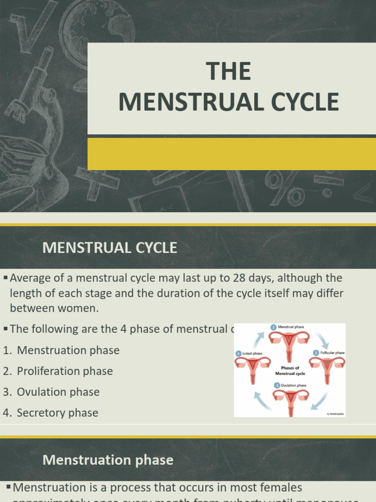 Menstrual-cycle-1 | PDF | Menstrual Cycle | Sexual Anatomy