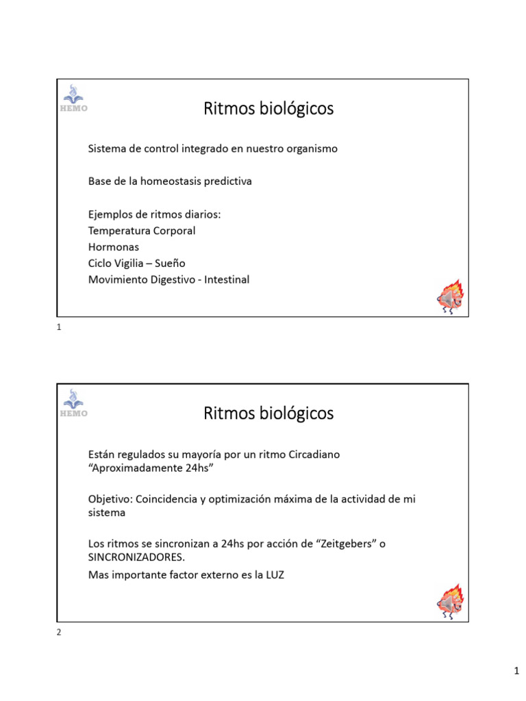 Ritmos Biológicos y Sincronización Circadiana | PDF | Ritmo circadiano ...