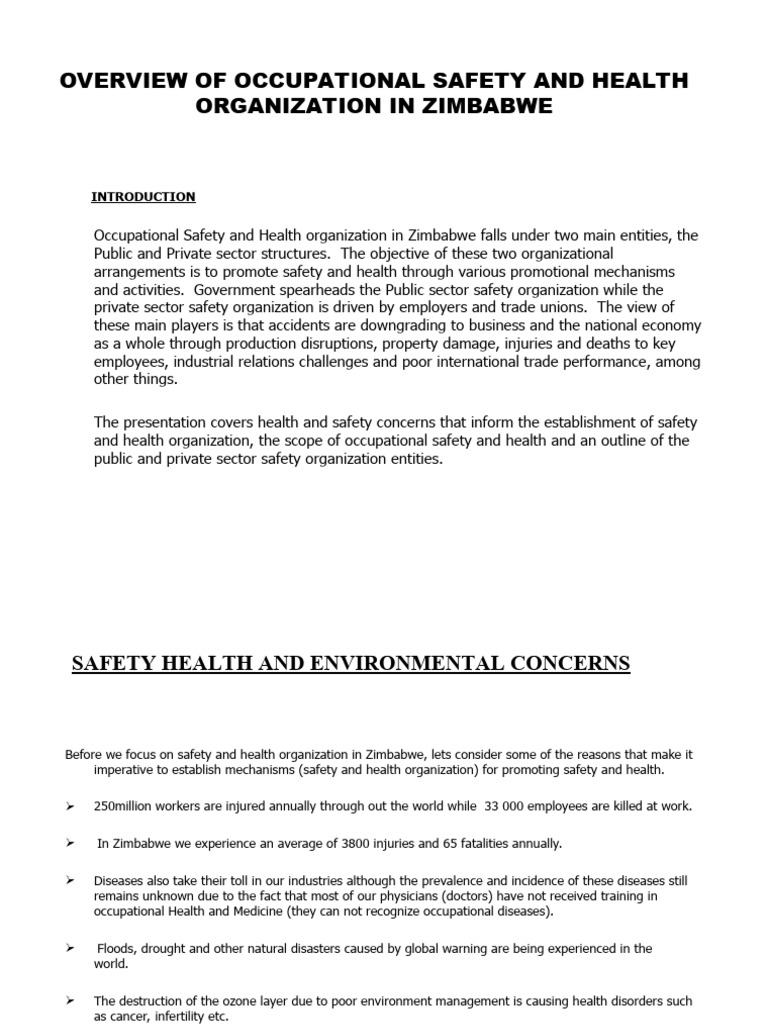 Overview of Occupational Safety and Health Organization in | PDF | Occupational Safety And ...