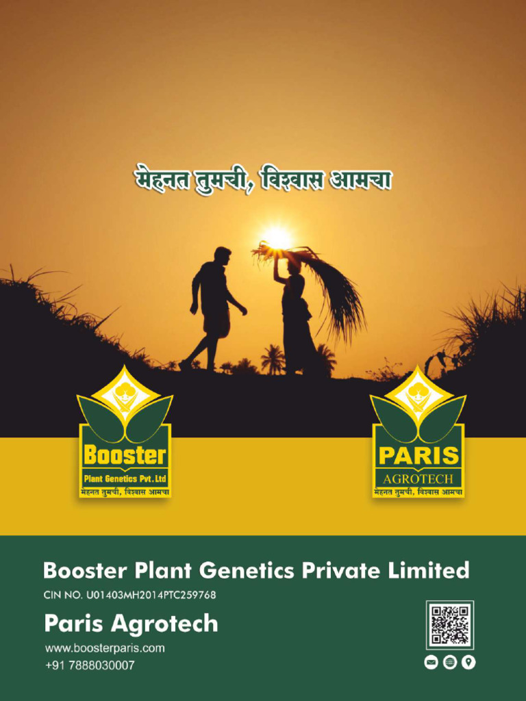 Booster Brochure | PDF