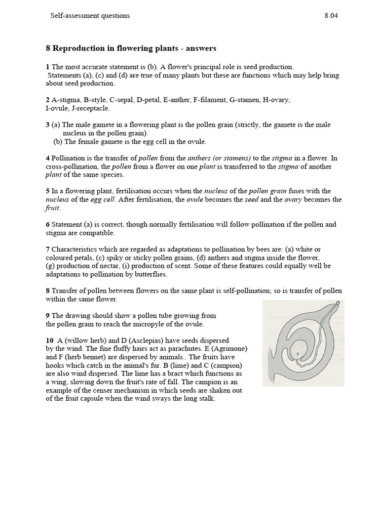 Plant Reproduction Worksheet Answers | PDF | Flowers | Pollination
