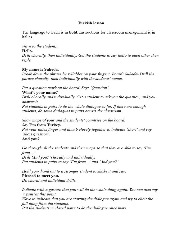 Turkish Lesson Plan Beginners | PDF
