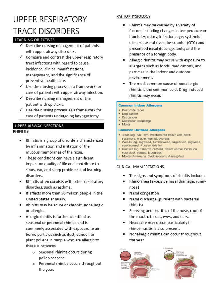 Upper Respiratory Track Disorders Notes Pdf Common Cold Human Nose