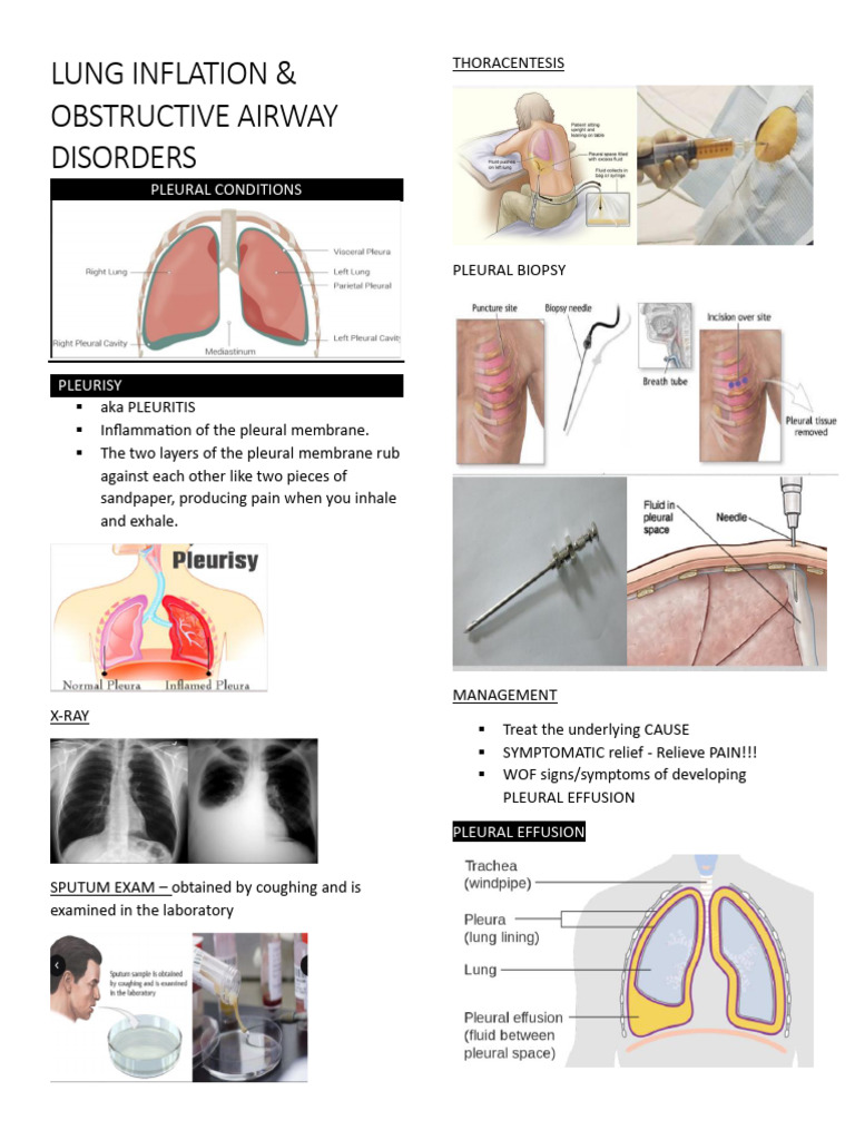 Lung Inflation Notes | PDF | Asthma | Chronic Obstructive Pulmonary Disease