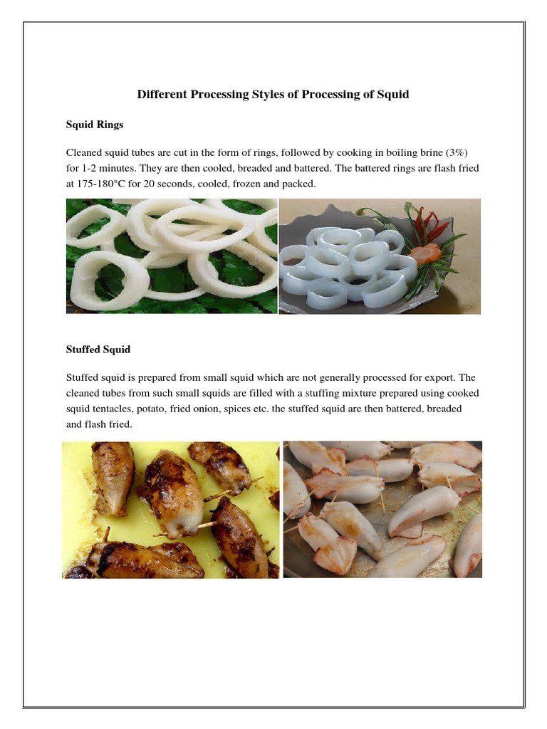 14 Different Styles of Processing of Squid | PDF