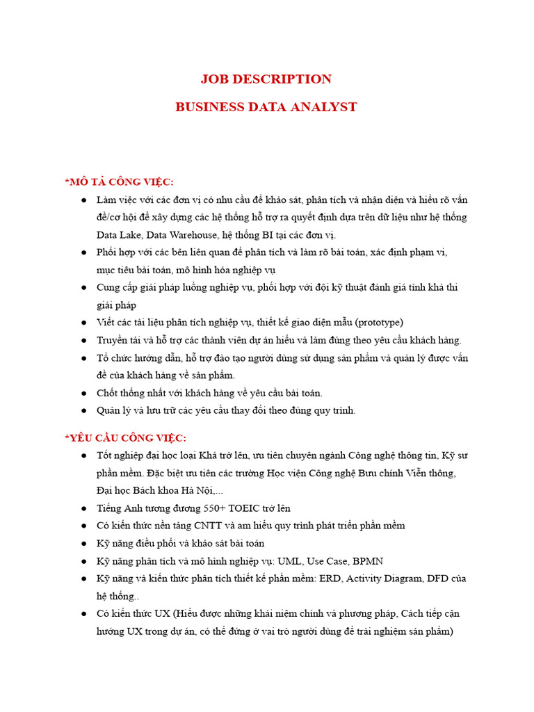 VTIT - JD Business Data Analyst | PDF