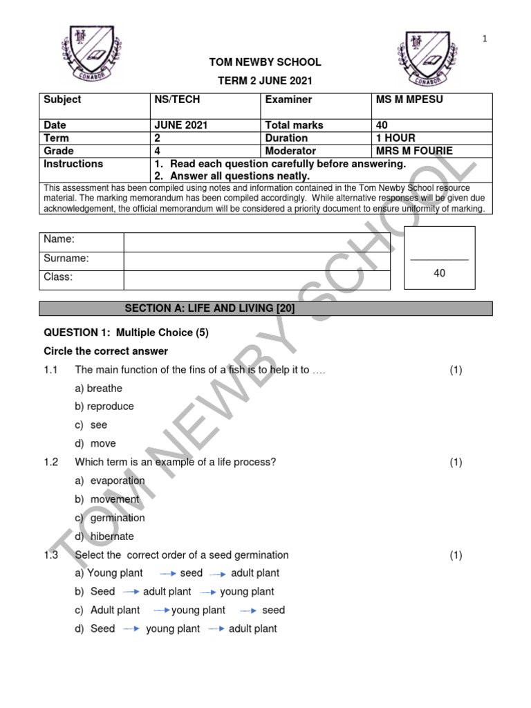 Grade 4 NS Tech Exam June 2021 | PDF | Liquids | Gases