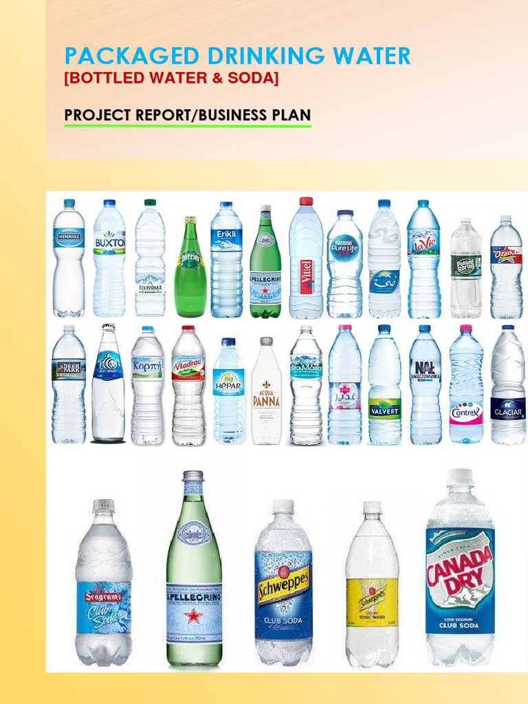 Packaged Drinking Water Plant Project Report Xgkwyb | PDF | Marketing ...