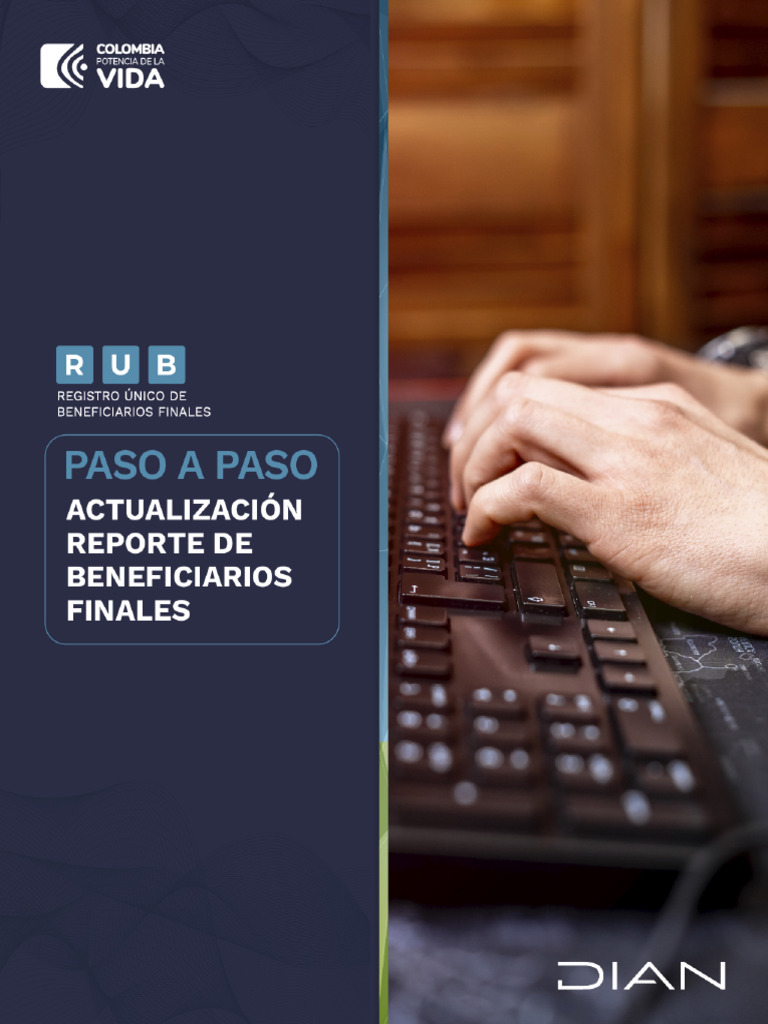 Paso a Paso Actualizacion RUB Finales | PDF | Ventana (informática) | Informática