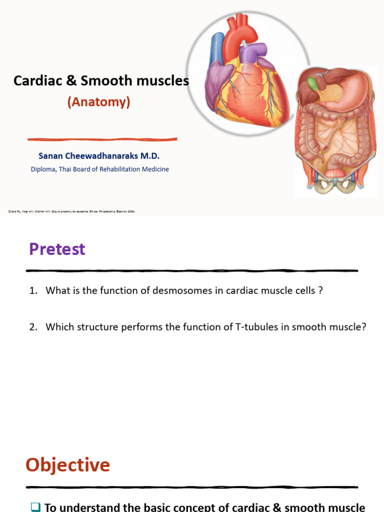 Cardiac and Smooth Muscle Overview | PDF | Muscle | Heart