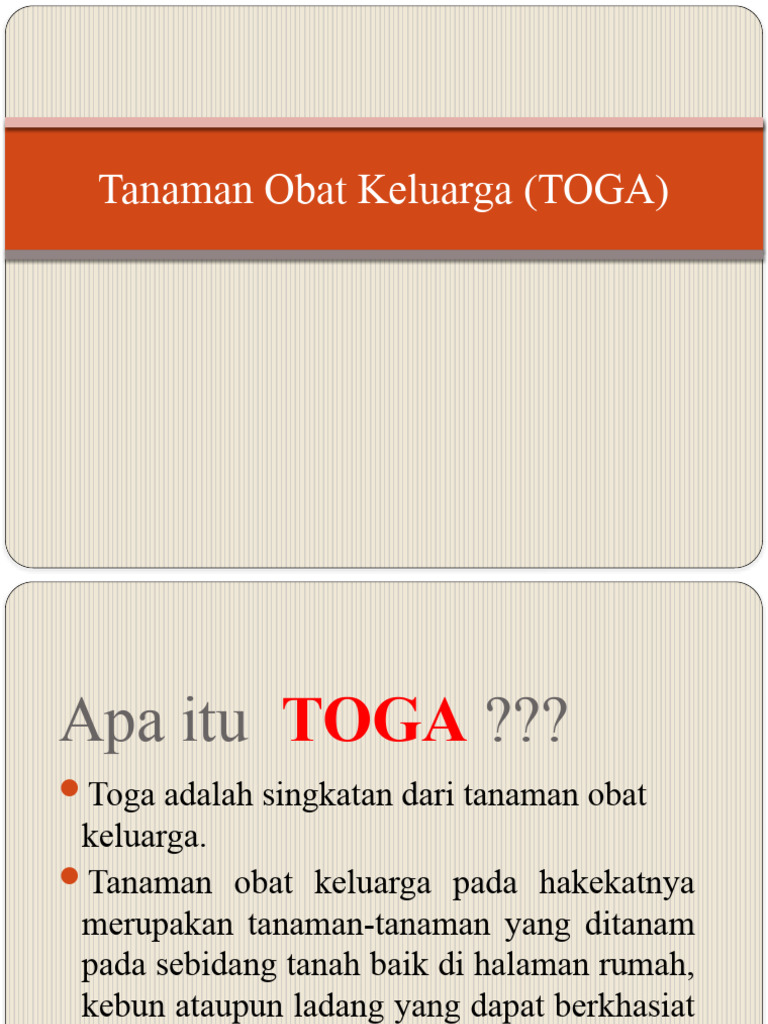 PPT5 Toga | PDF