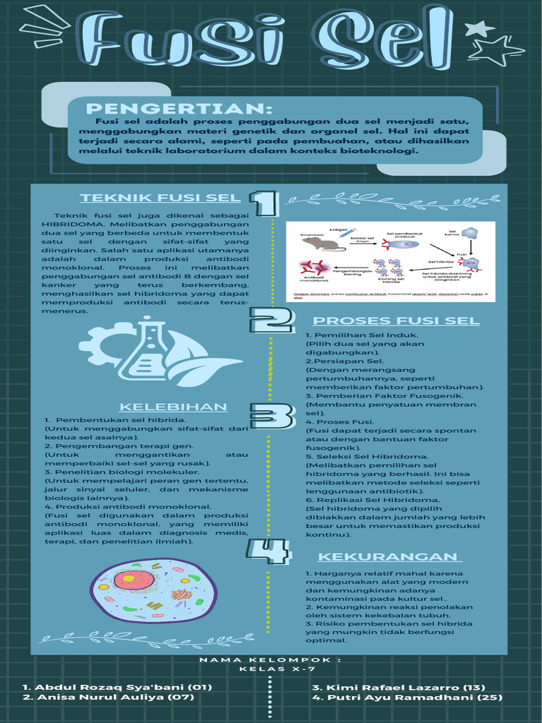 Infografis Fusi Sel, X7 | PDF