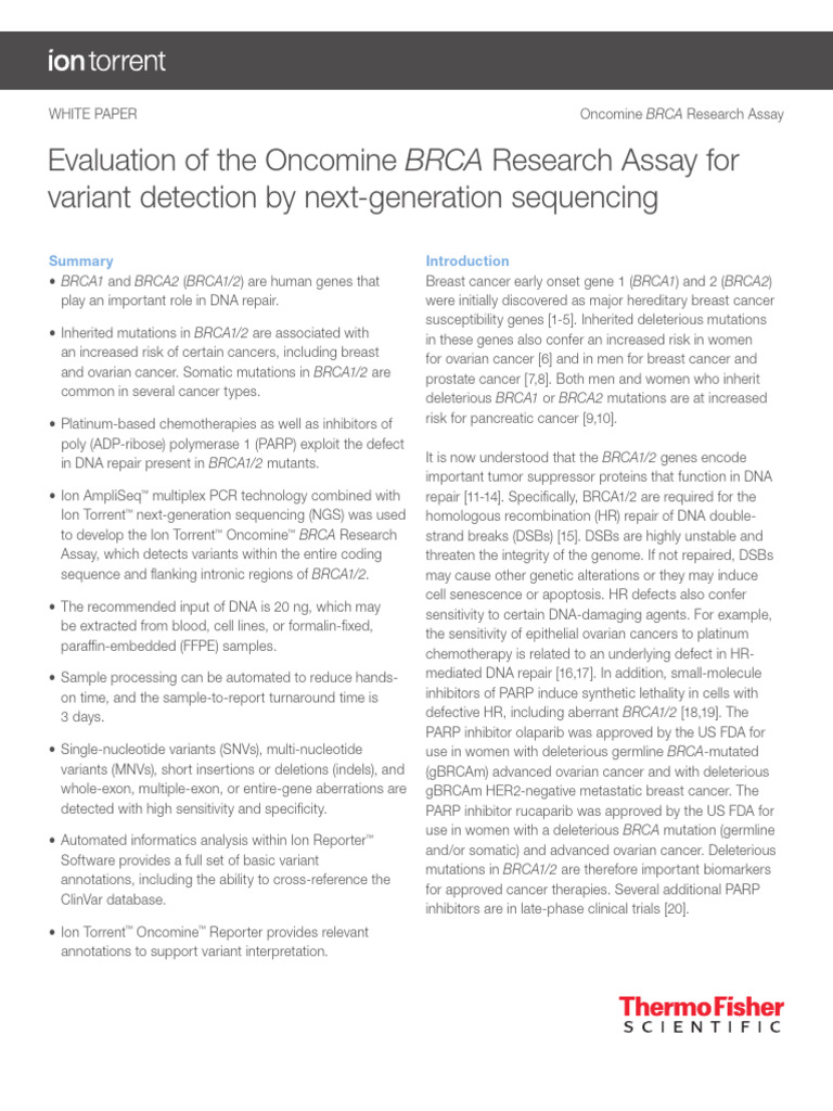 Brca Assay Variant Detection White Paper | PDF | Dna Repair | Mutation