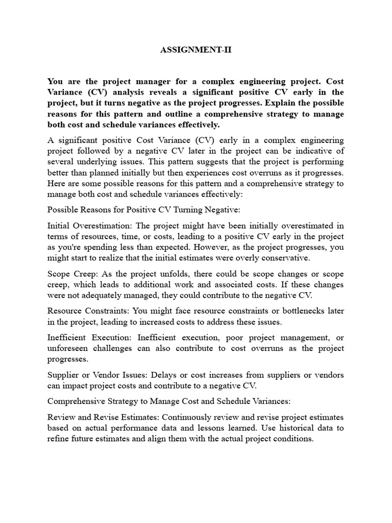 It Project Management Assignments | PDF | Project Management | Risk ...