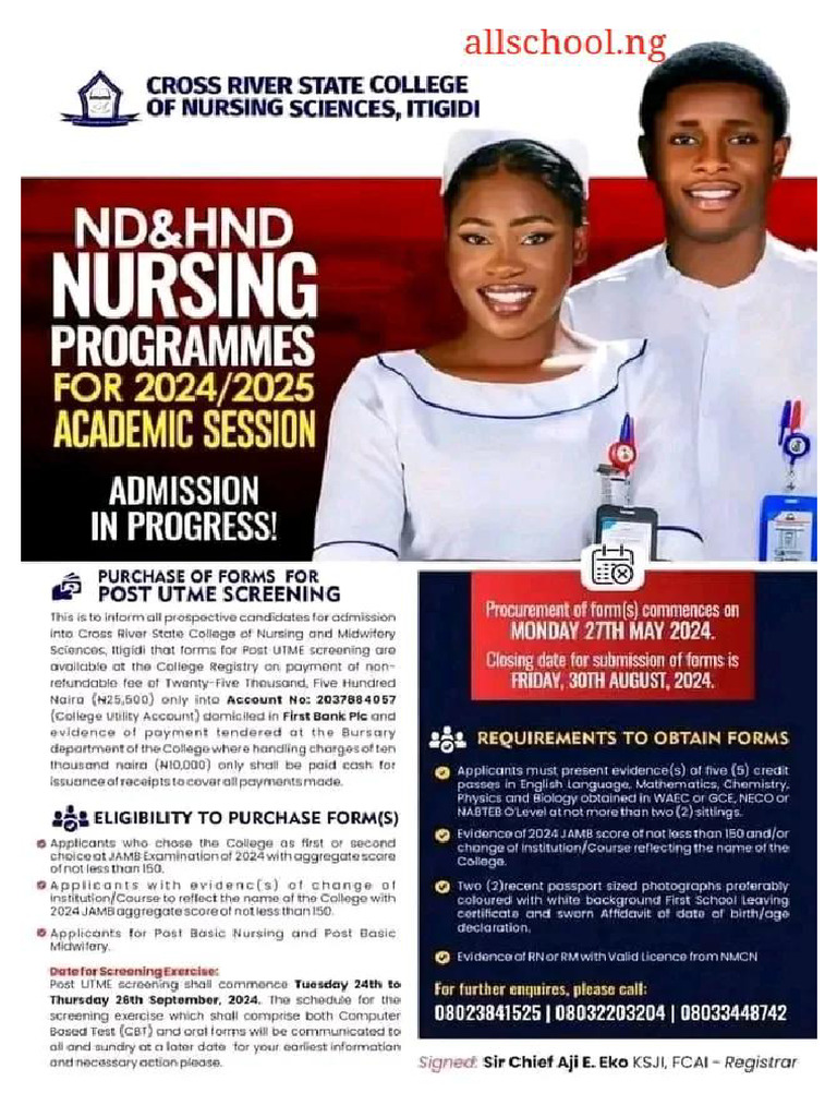 Nursing Flyer | PDF