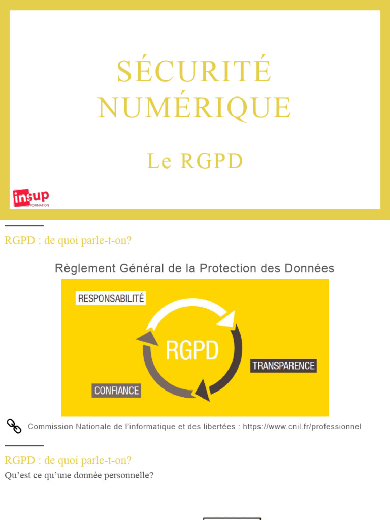 Comprendre le RGPD et ses enjeux | PDF | Vie privée et informatique ...