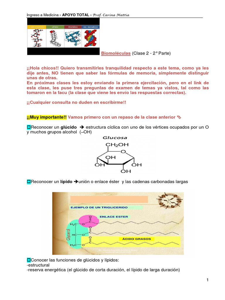 2° Clase - Parte 2 | PDF | Carbohidratos | Lípido