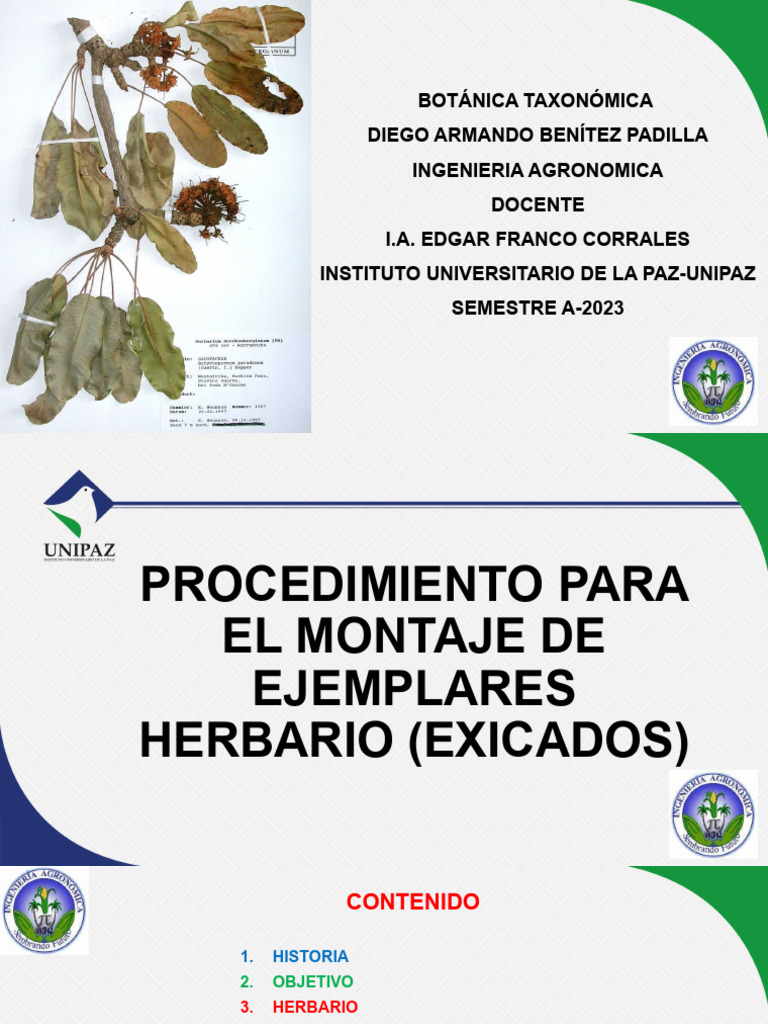 Procedimiento Para Montar Un Herbario Pdf Botánica Plantas