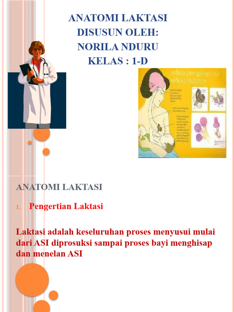 Anatomi Laktasi | PDF