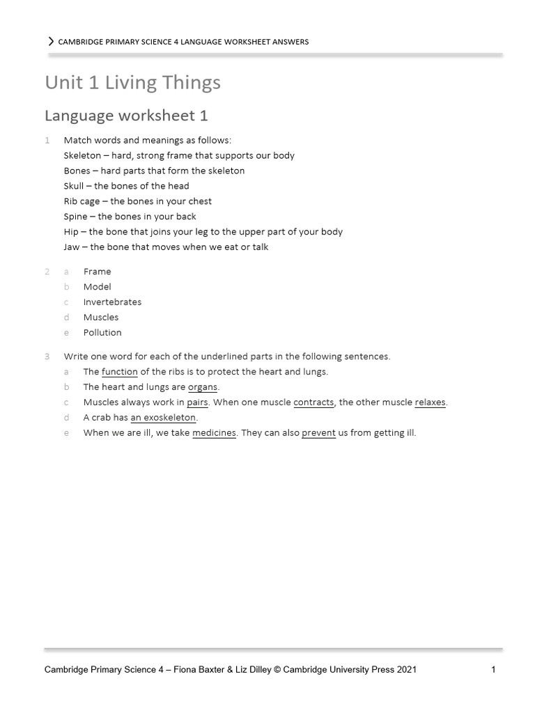 Cambridge Primary Science 4 Answers | PDF | Volcano | Predation