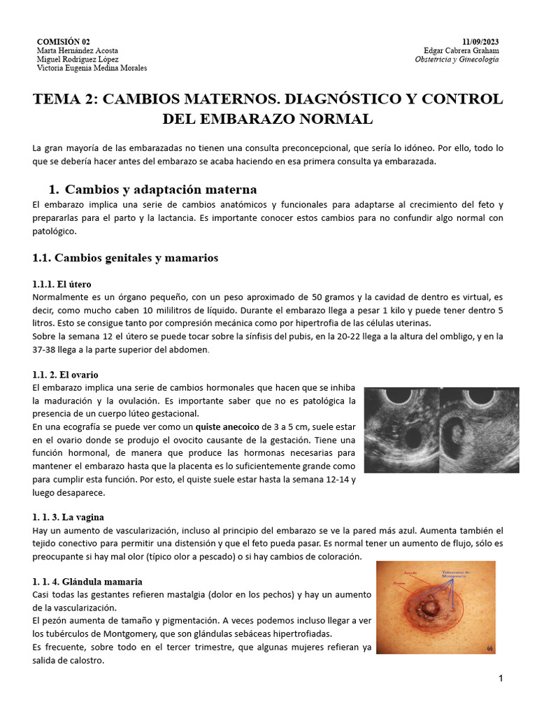 02 - ObstetriciayGinecología - 11092023 2 | PDF | El embarazo | Ovario