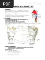 Anat Physio ORL | PDF | Oreille | Système vestibulaire