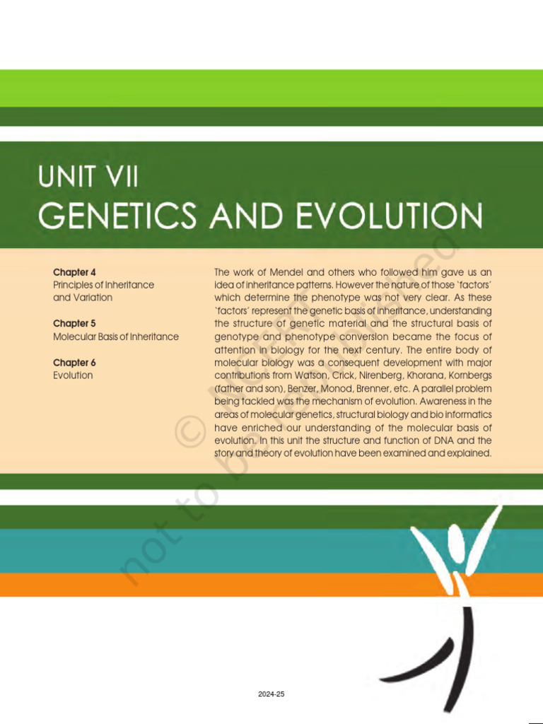 Genetics & Evolution Basics | PDF | Dominance (Genetics) | Allele