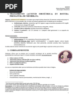 GPC - Corioamnionitis | PDF | Partería | Parto